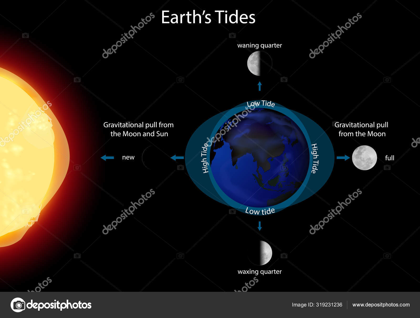 Diagram showing earth tides Stock Vector by ©blueringmedia 319231236
