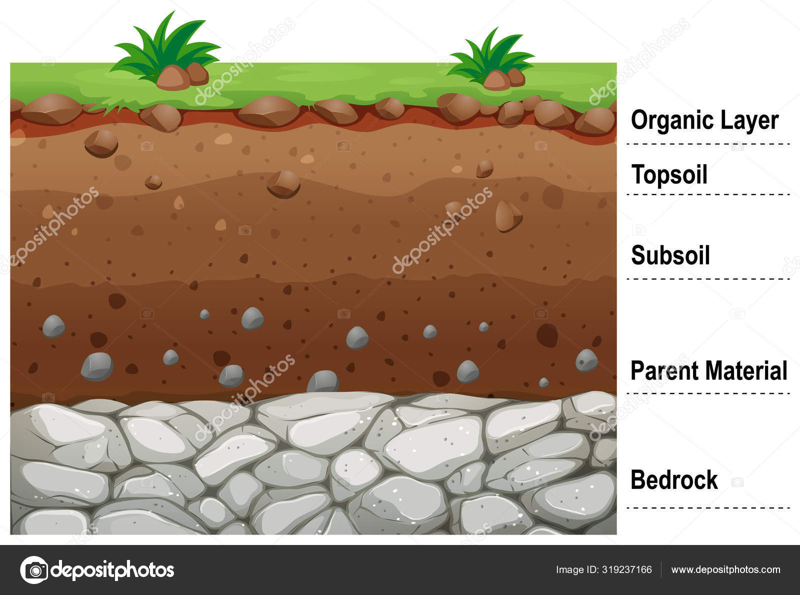 Different Layers Of Soil Soil Profile: Particle Size, Colour,