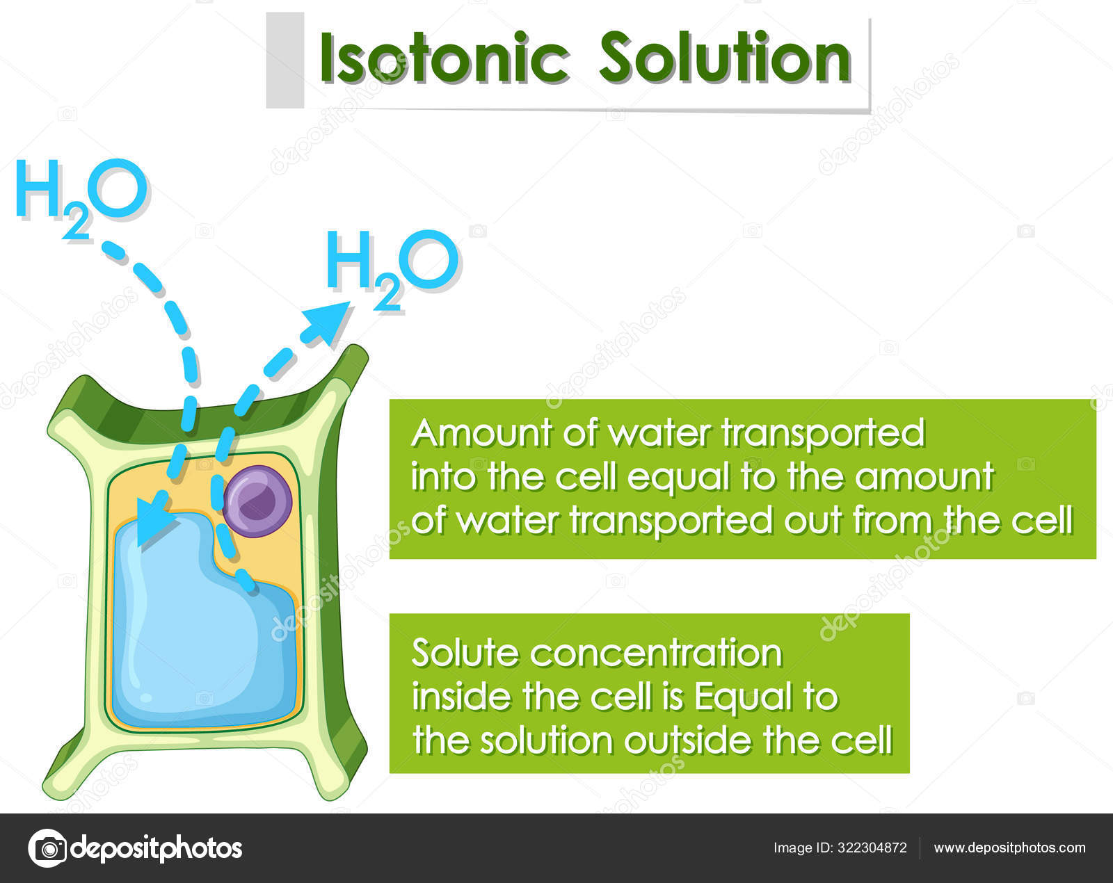 Diagram showing isotonic solution Stock Vector by ©blueringmedia 322304872
