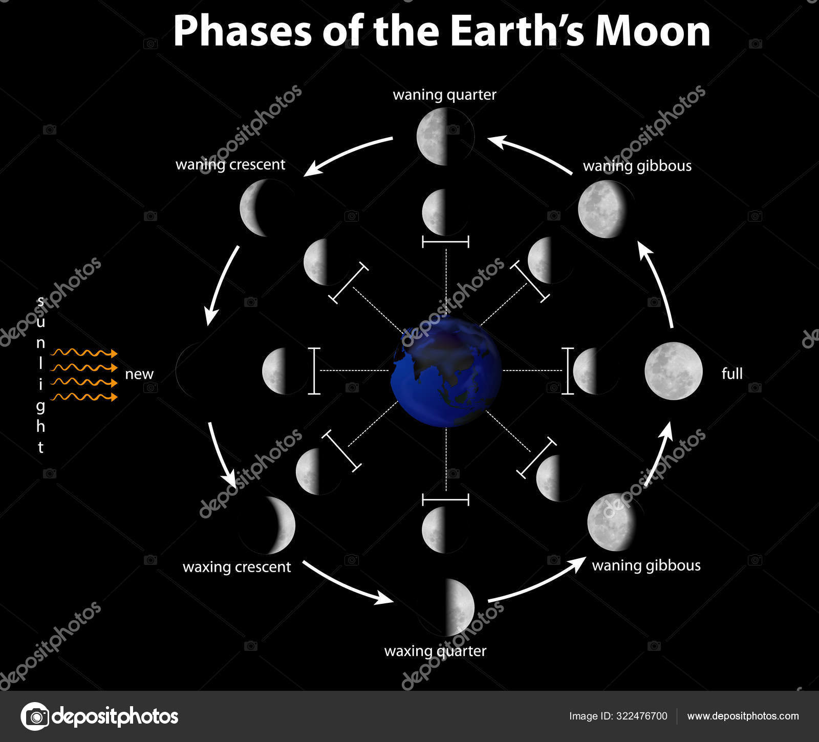 Diagram showing phases of earth moon Stock Vector by ©blueringmedia ...