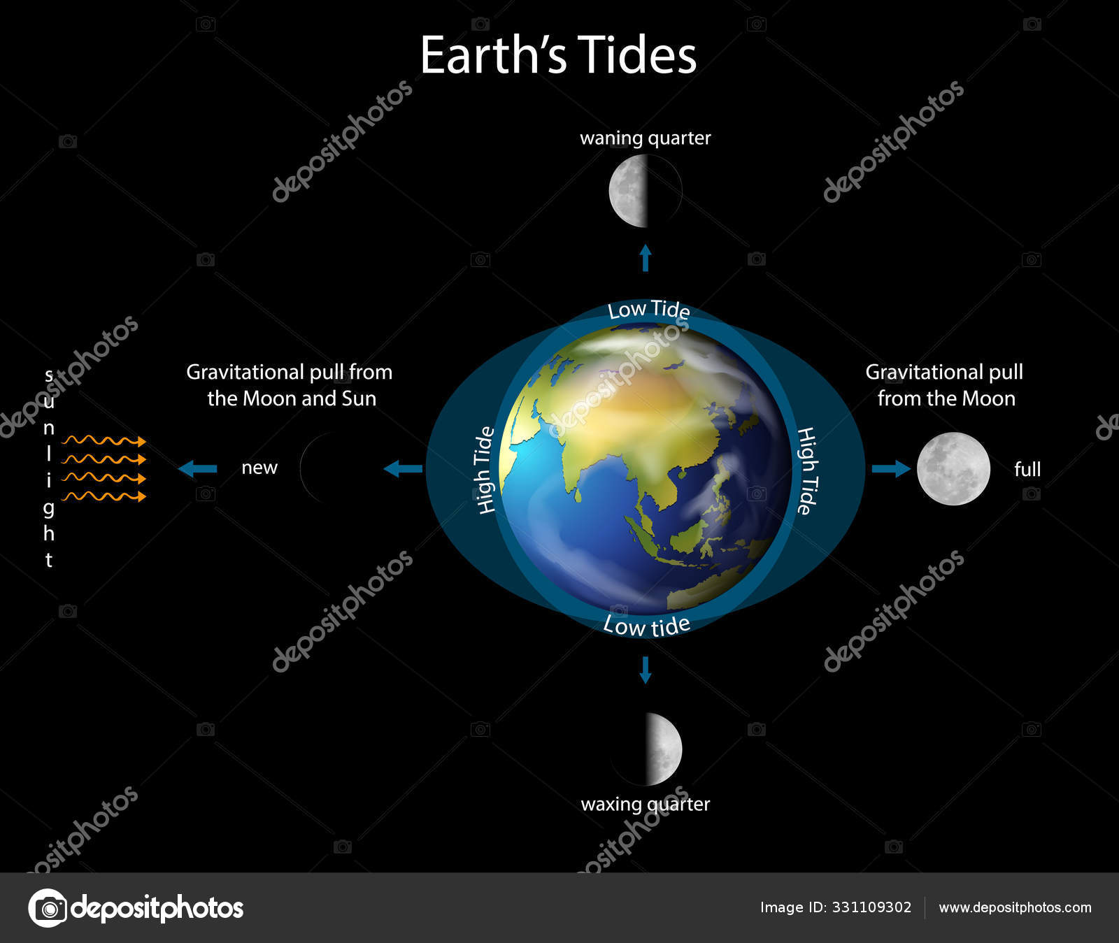 Diagram showing earth tides with earth and moon Stock Vector by ...