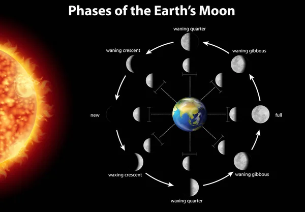 Diagram showing lunar eclipse on earth Stock Vector by ©blueringmedia ...
