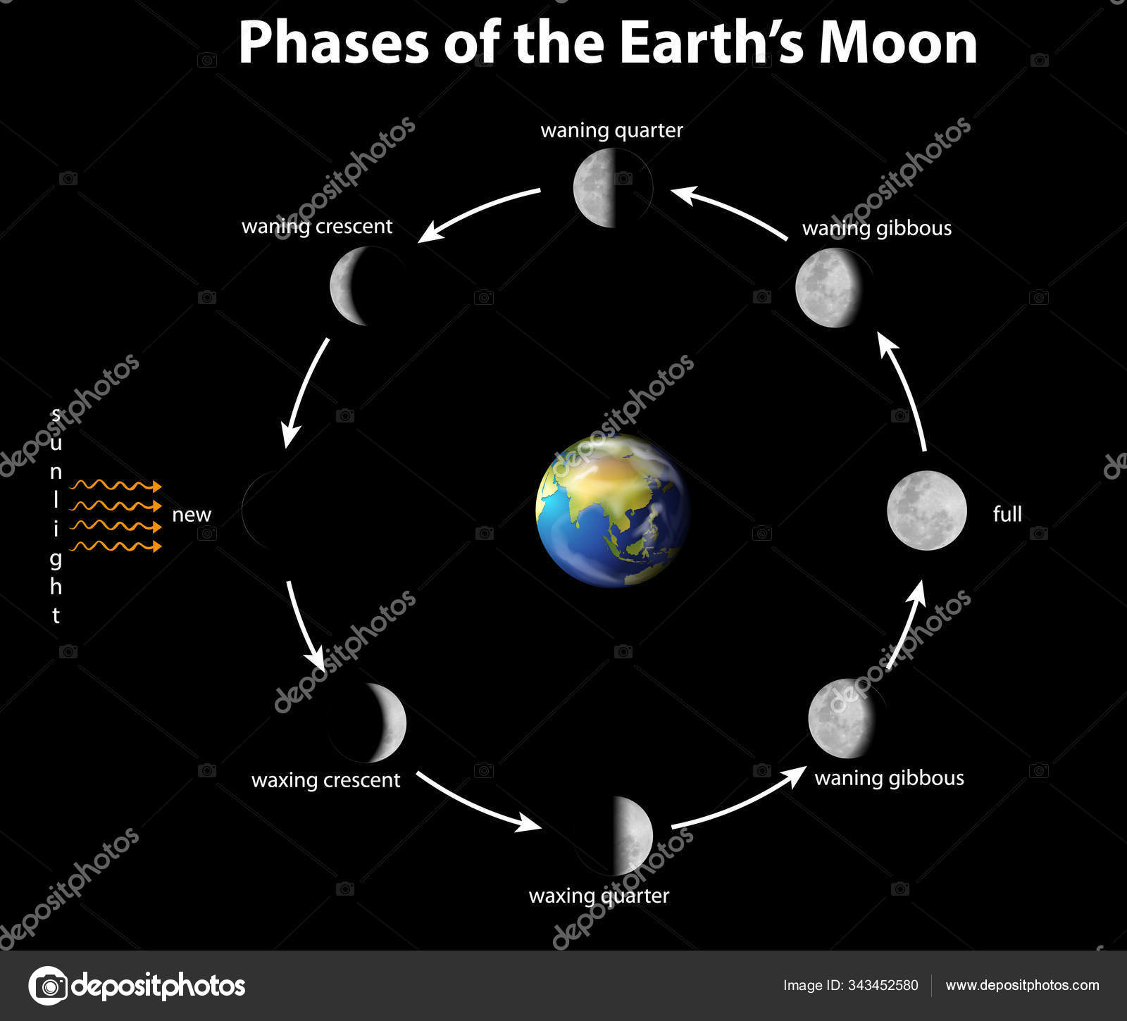 Diagram showing phases of earth moon Stock Vector by ©blueringmedia ...