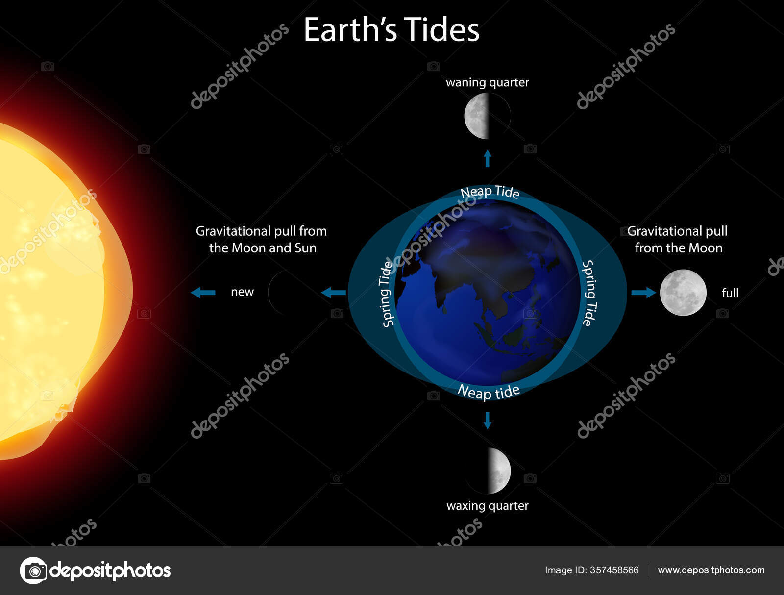 Diagram Showing Earth Tides Illustration Stock Vector by ©blueringmedia 357458566