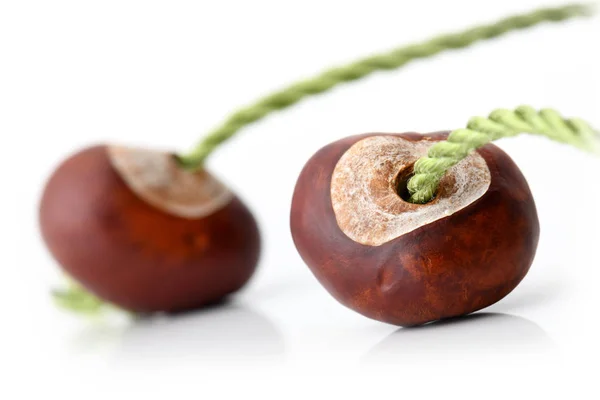 Conker Stock Photos, Royalty Free Conker Images | Depositphotos