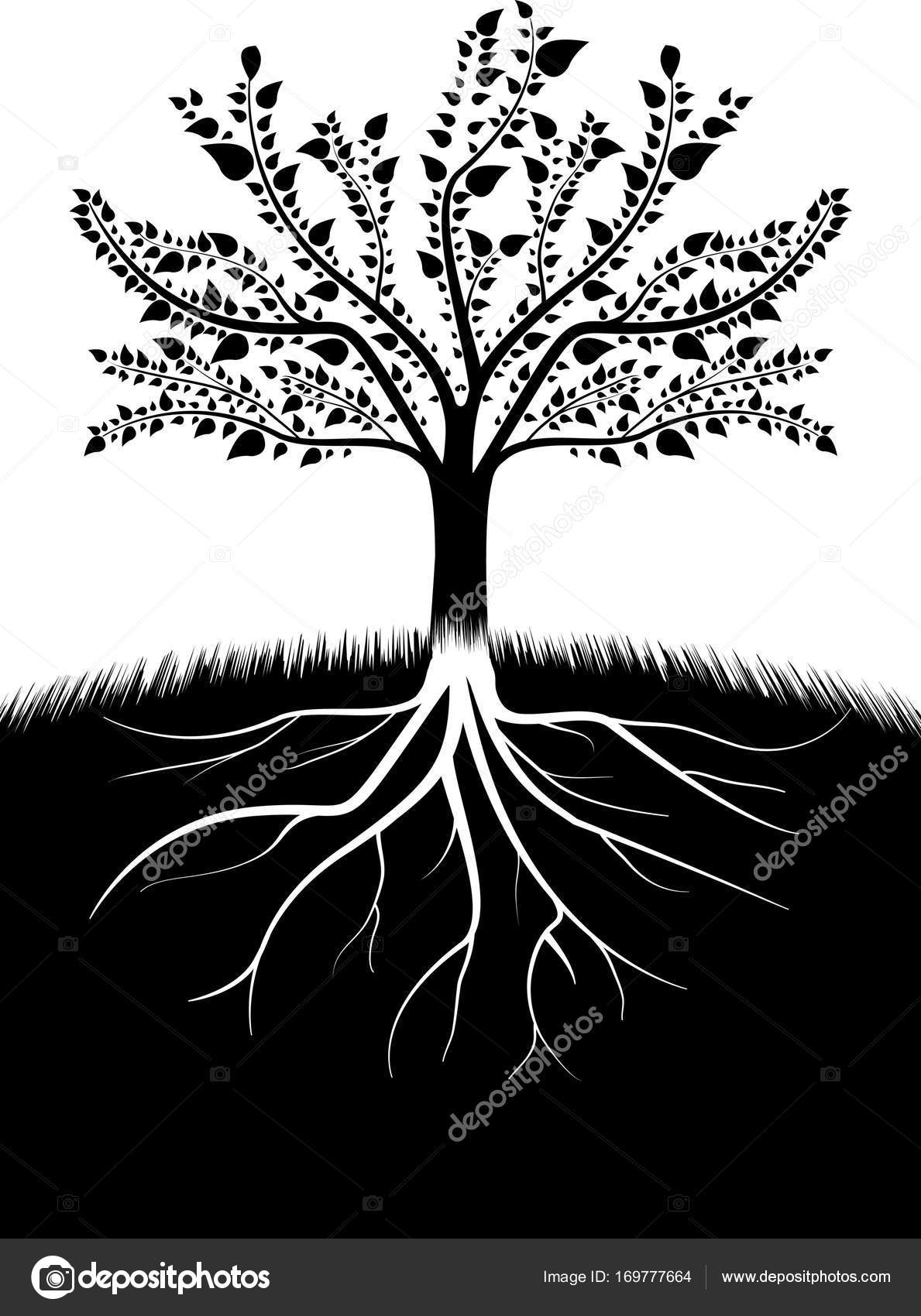 Tree silhouette with roots — Stock Photo © jamesstar #169777664