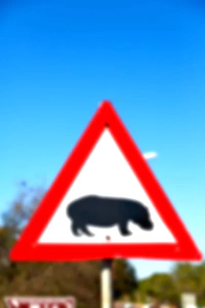 Wild boar traffic sign Stock Photos, Royalty Free Wild boar traffic ...