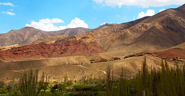 Ghor Stock Photos, Royalty Free Ghor Images | Depositphotos