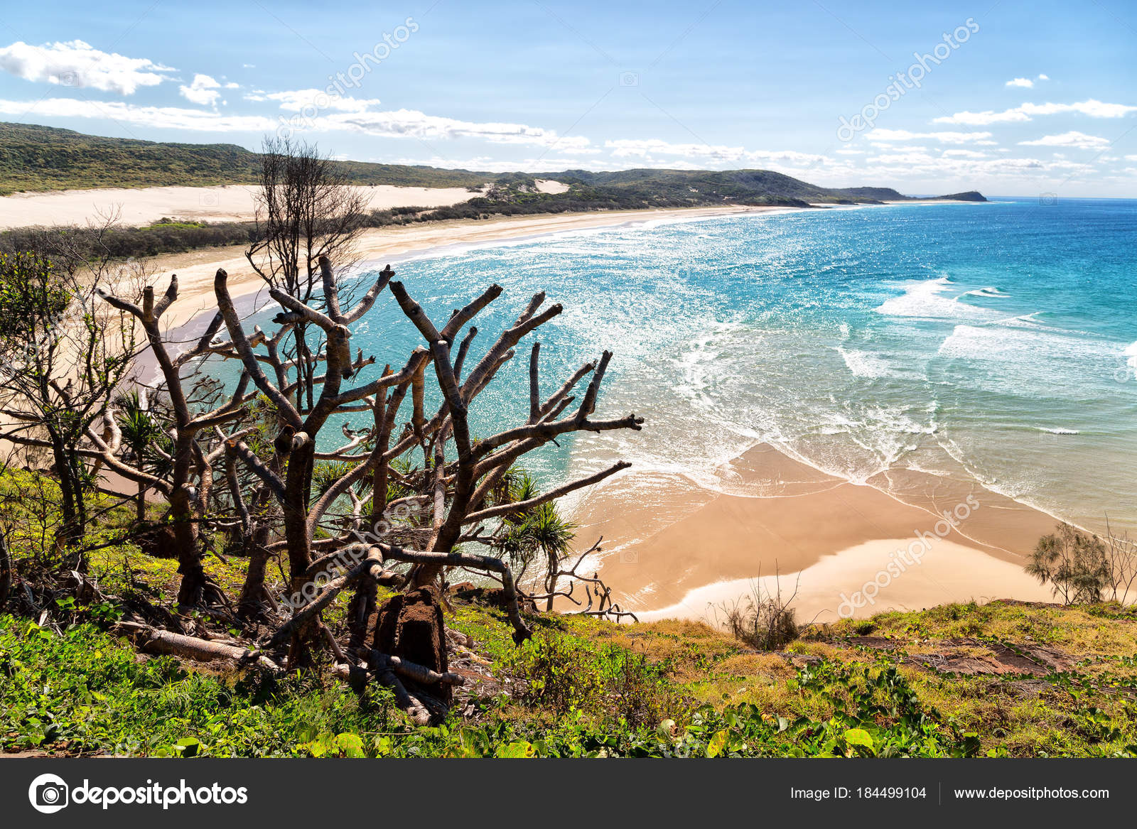 In australia the beach island the tree and rocks — Stock Photo © lkpro ...