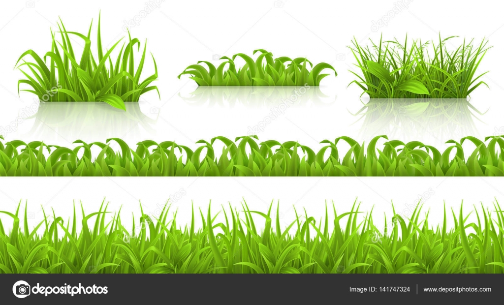Grass Ground Vector