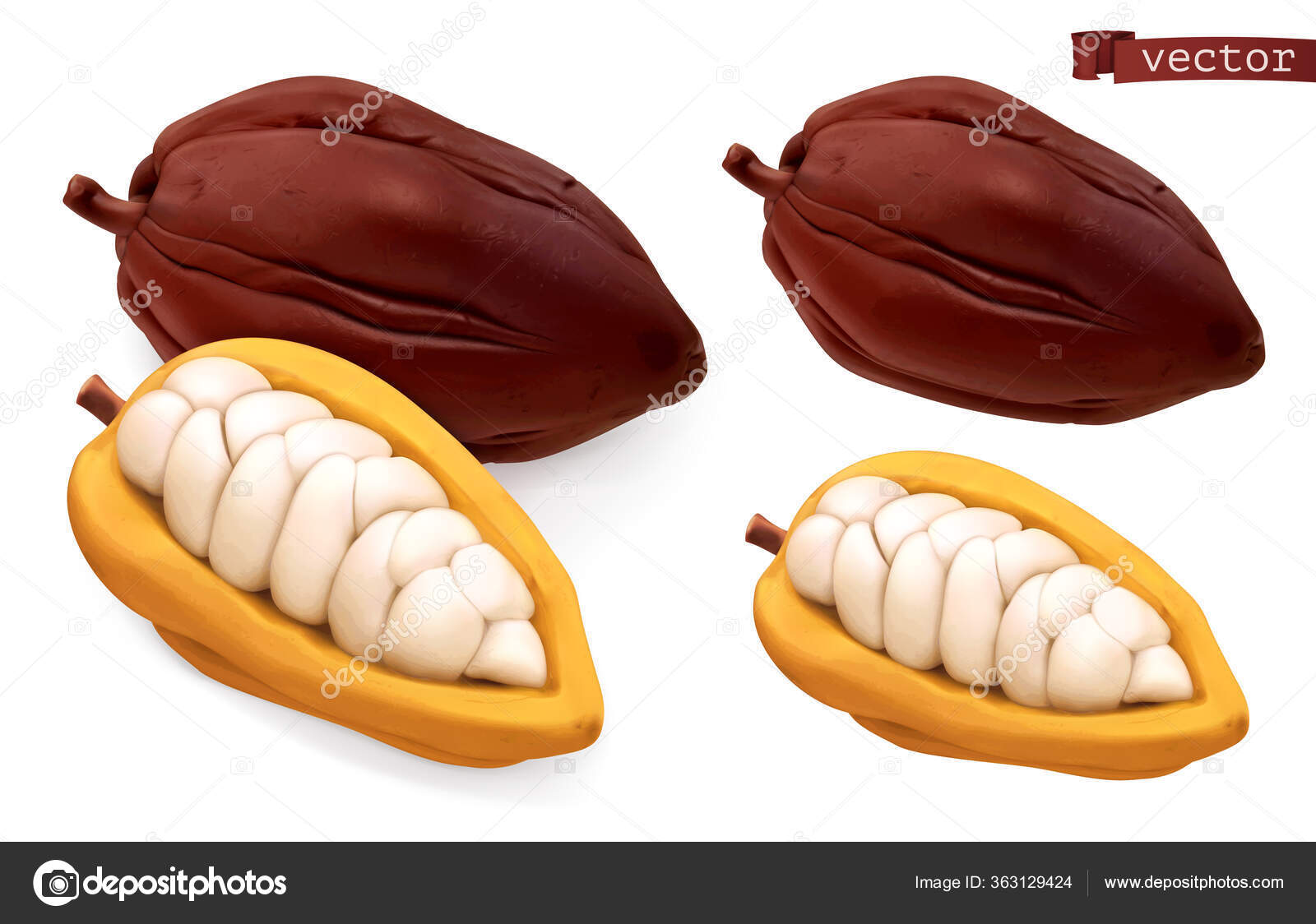 Cocoa Pods Realistic Vector Stock Vector Image by ©natis76 #363129424