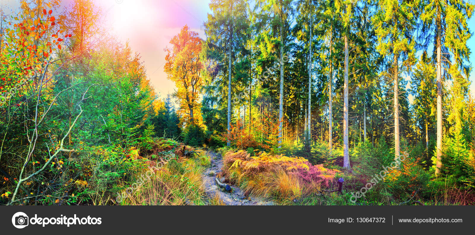 Autumn Panoramic Wallpaper