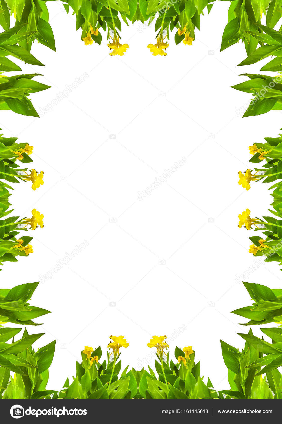 Nature Frames And Borders