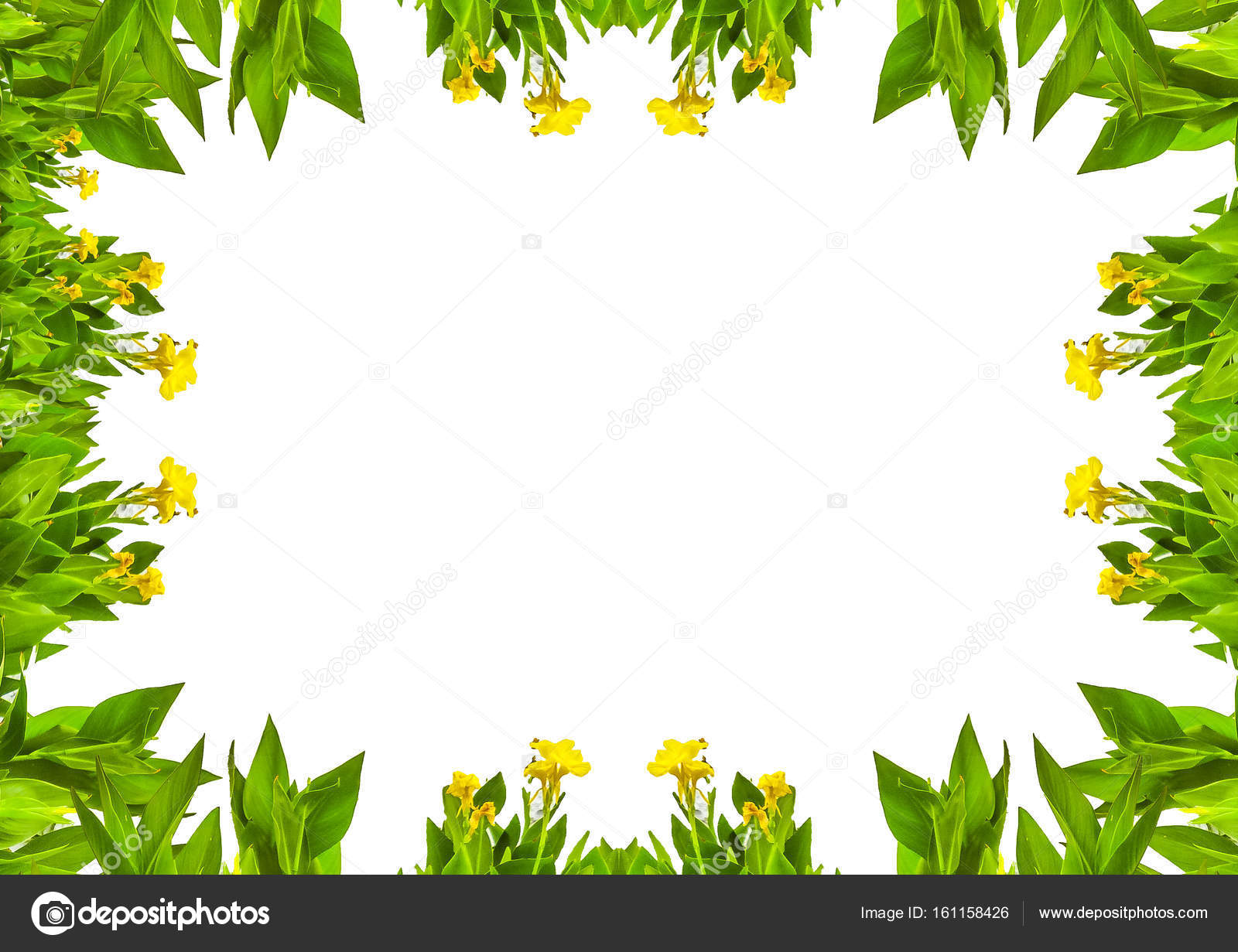 Nature Borders And Frames