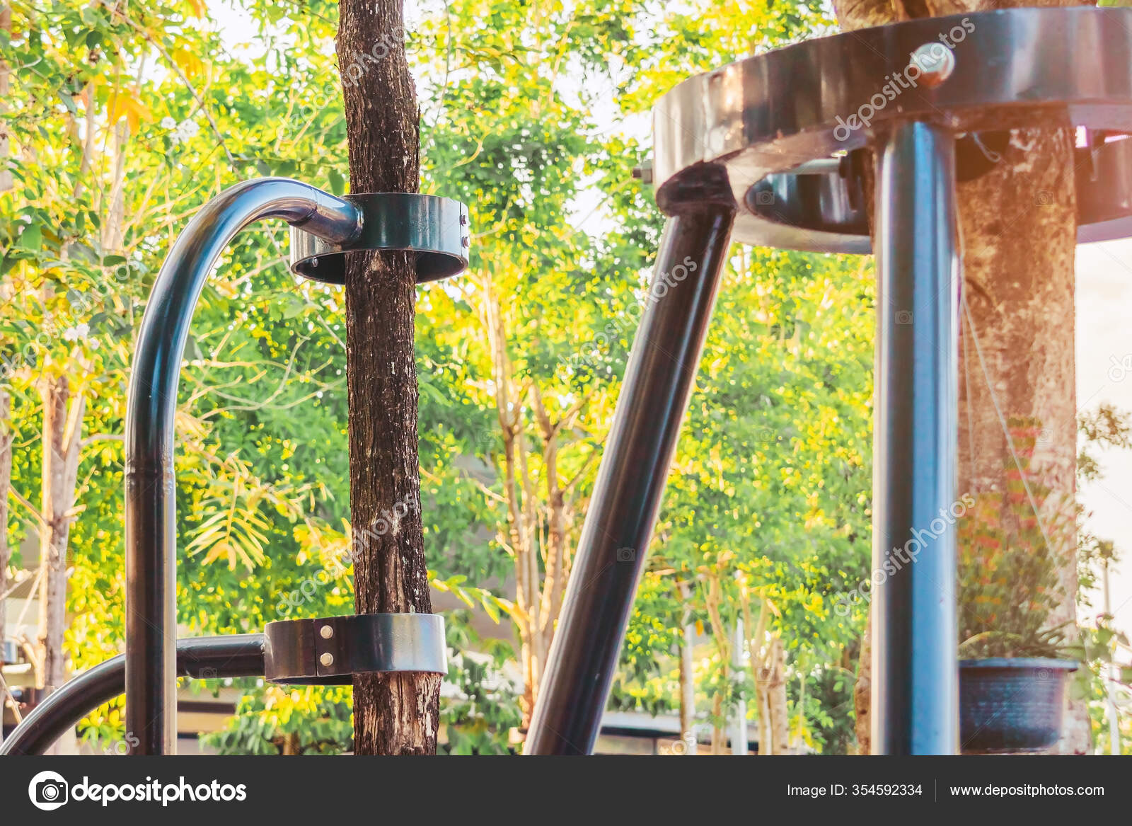 Black Steel Column Supports Controls Branches Trunks Tree Stand Upright ...