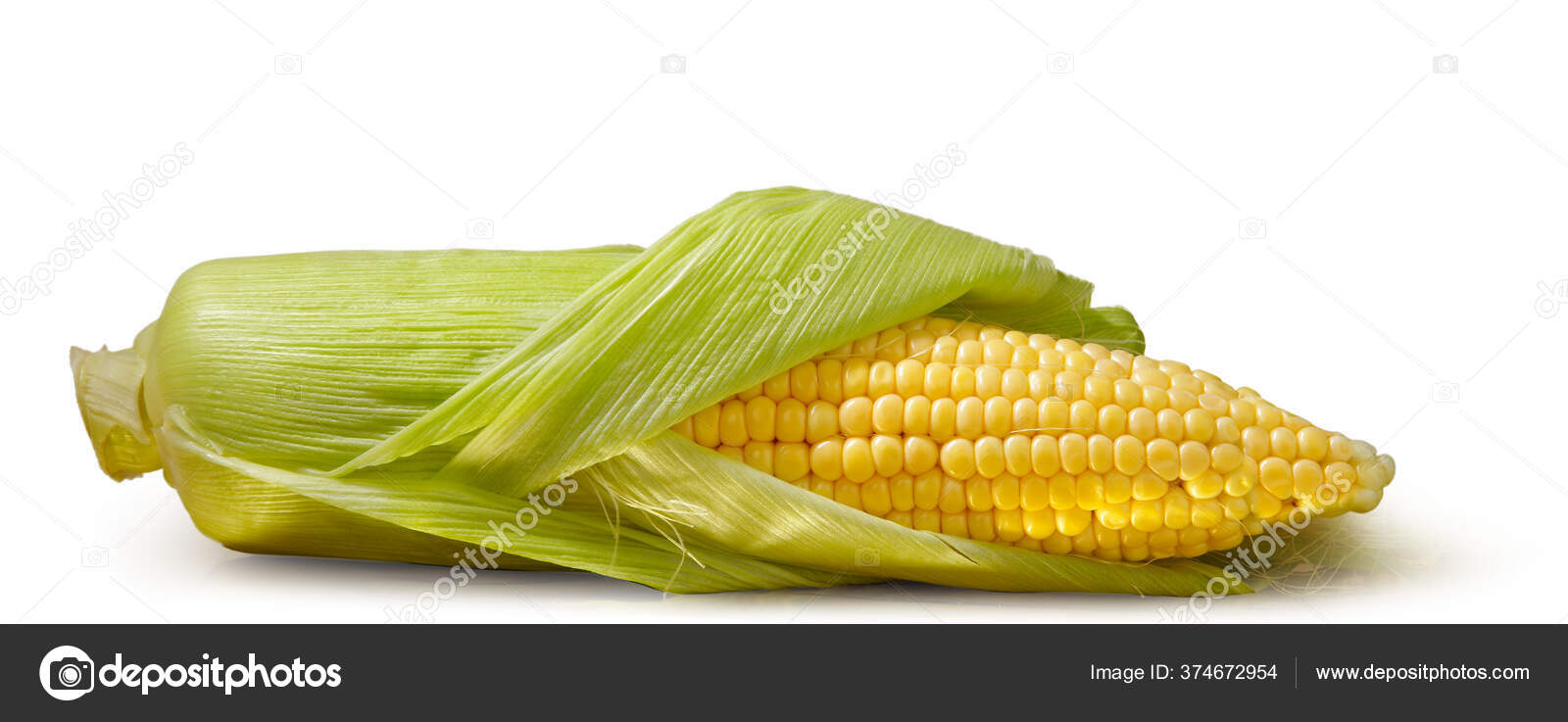 Open Cob Fresh Ripe Corn White Background Stock Photo by ©obskurus ...