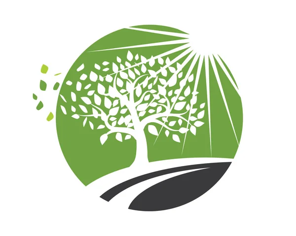 Eco Tree Logo Stock Vector Image by ©elaelo #72593793
