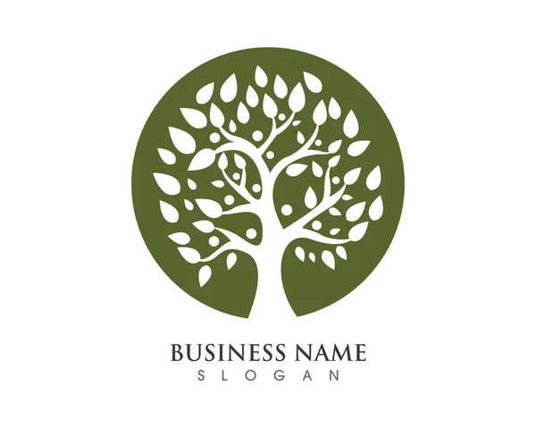 Family tree symbol icon logo Stock Vector Image by ©elaelo #134788094