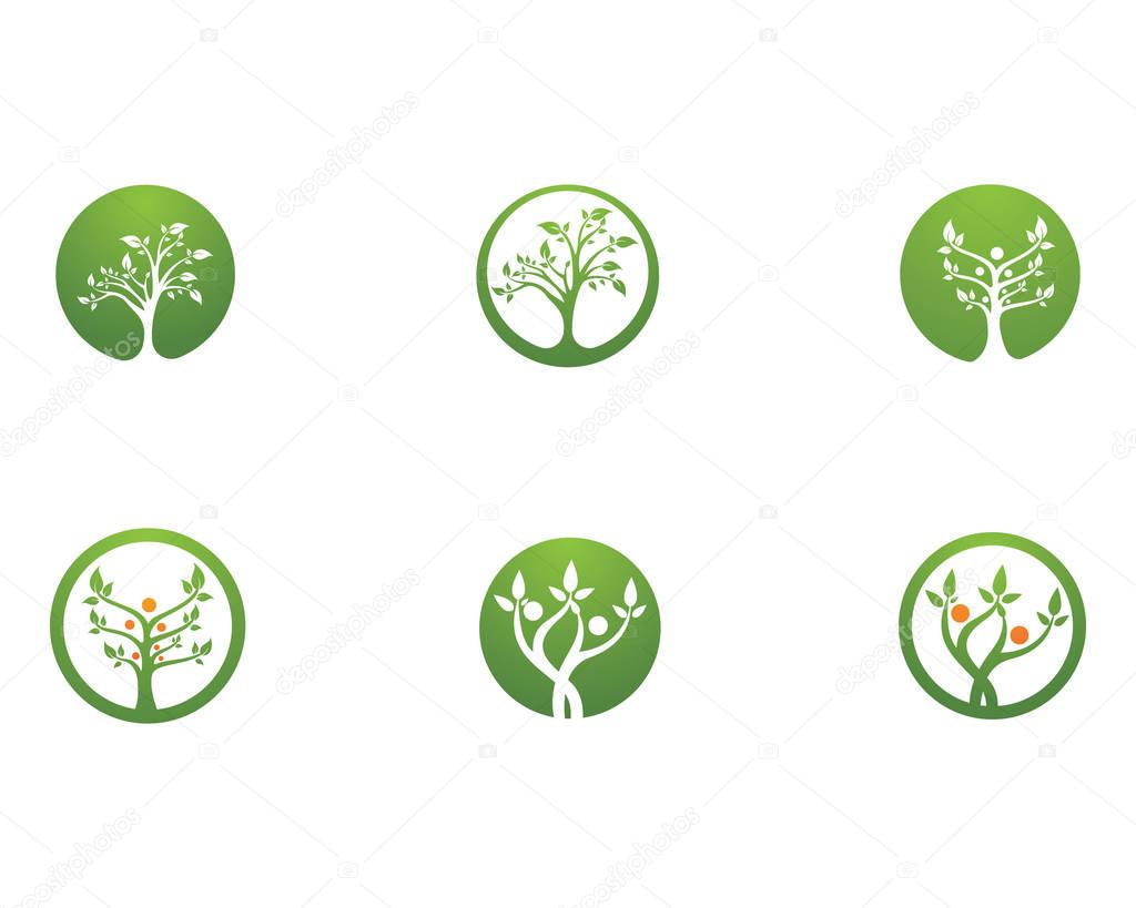 Family tree symbol icon logo — Stock Vector © elaelo #136857976