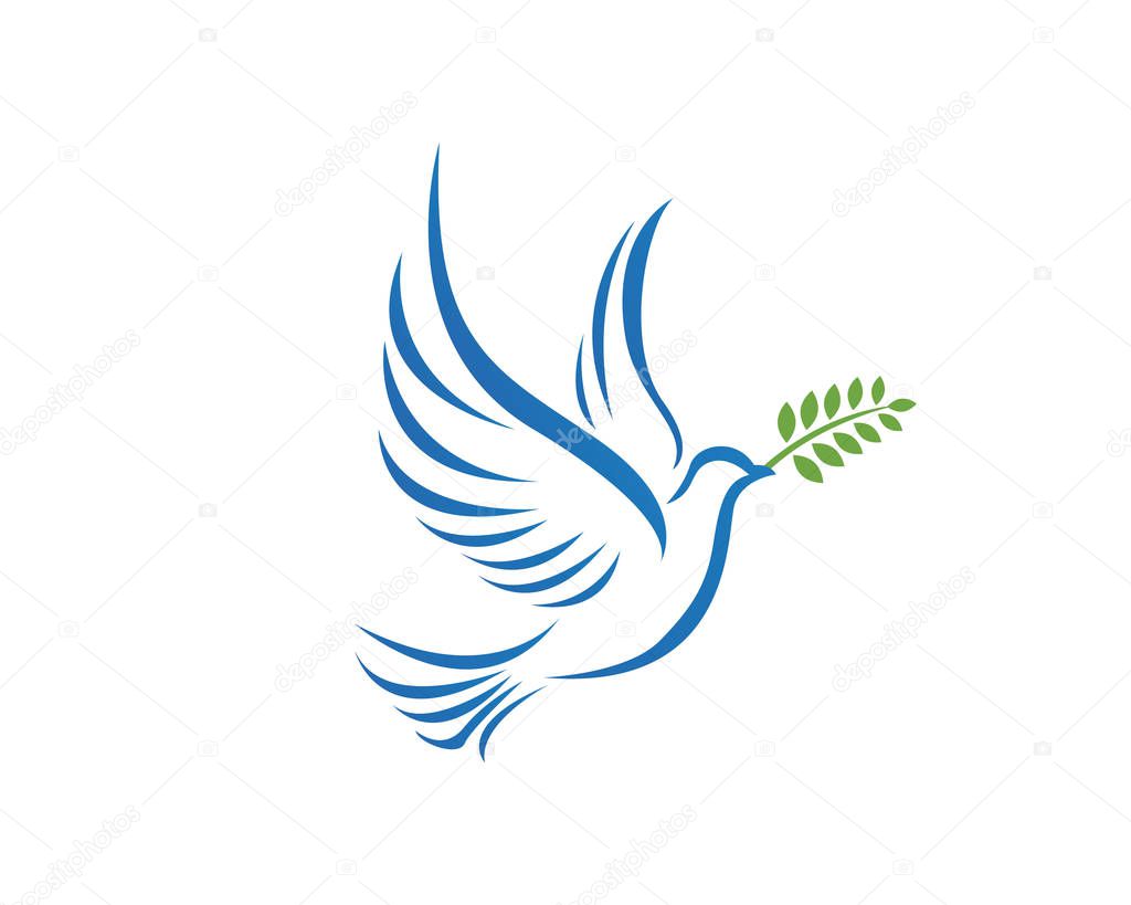 Aile d’oiseau colombe Logo Template — Image vectorielle elaelo © #137449344