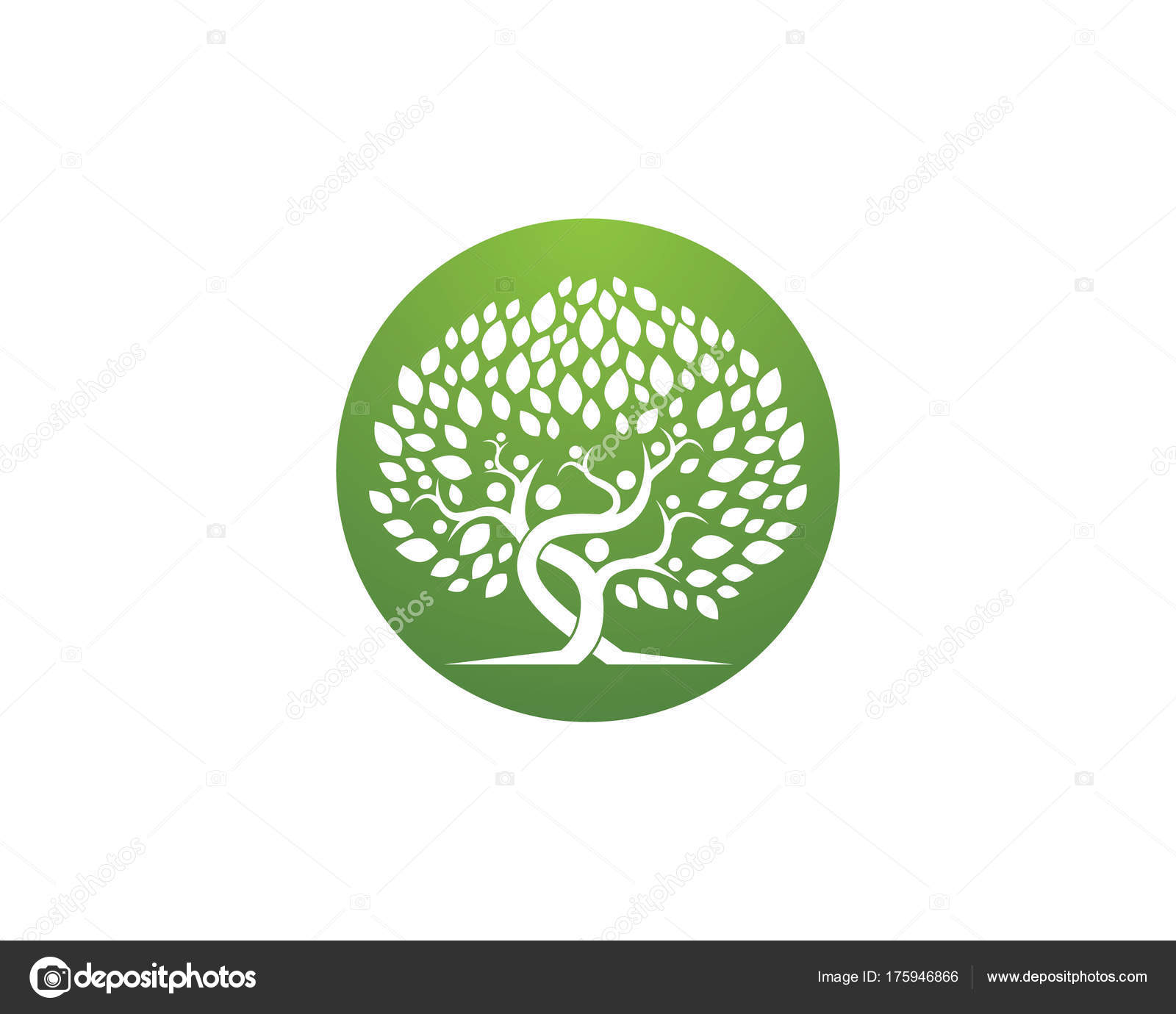 Eco logo template Stock Vector Image by ©elaelo #175946866