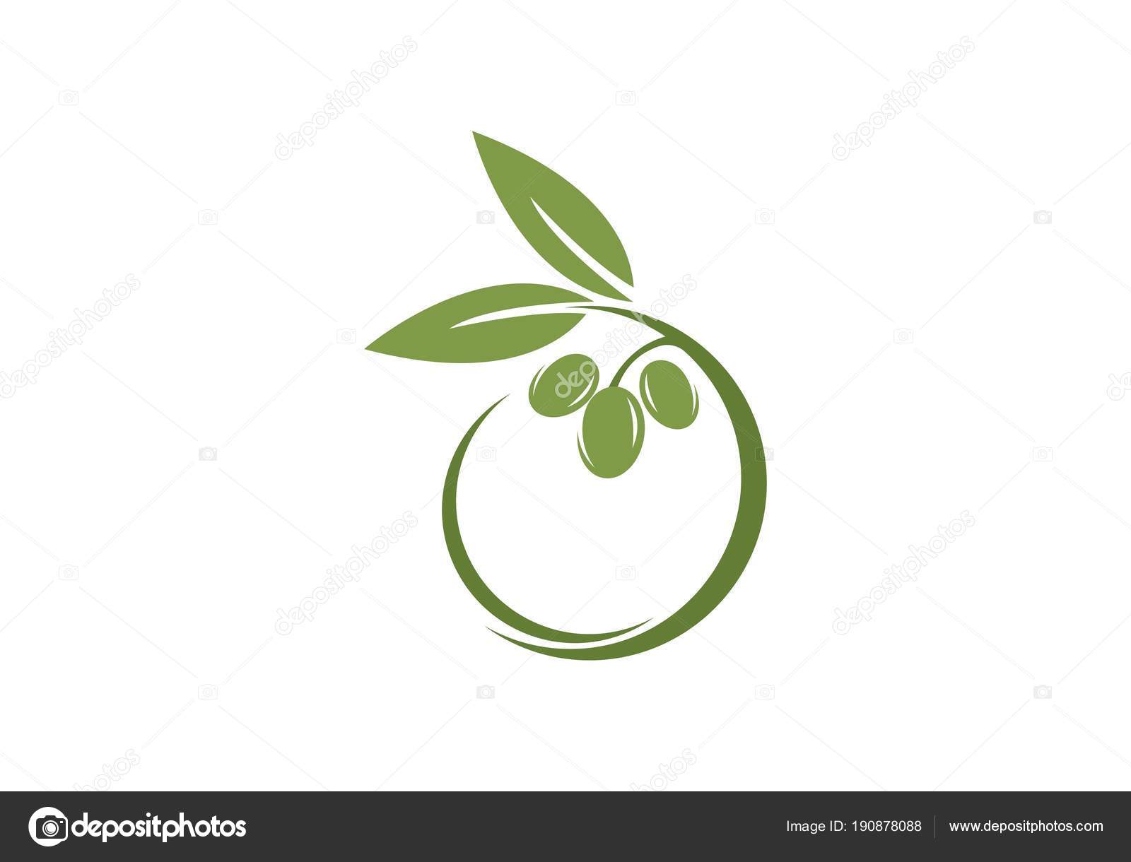 Vector logo oliva Vector de stock por ©elaelo 190878088