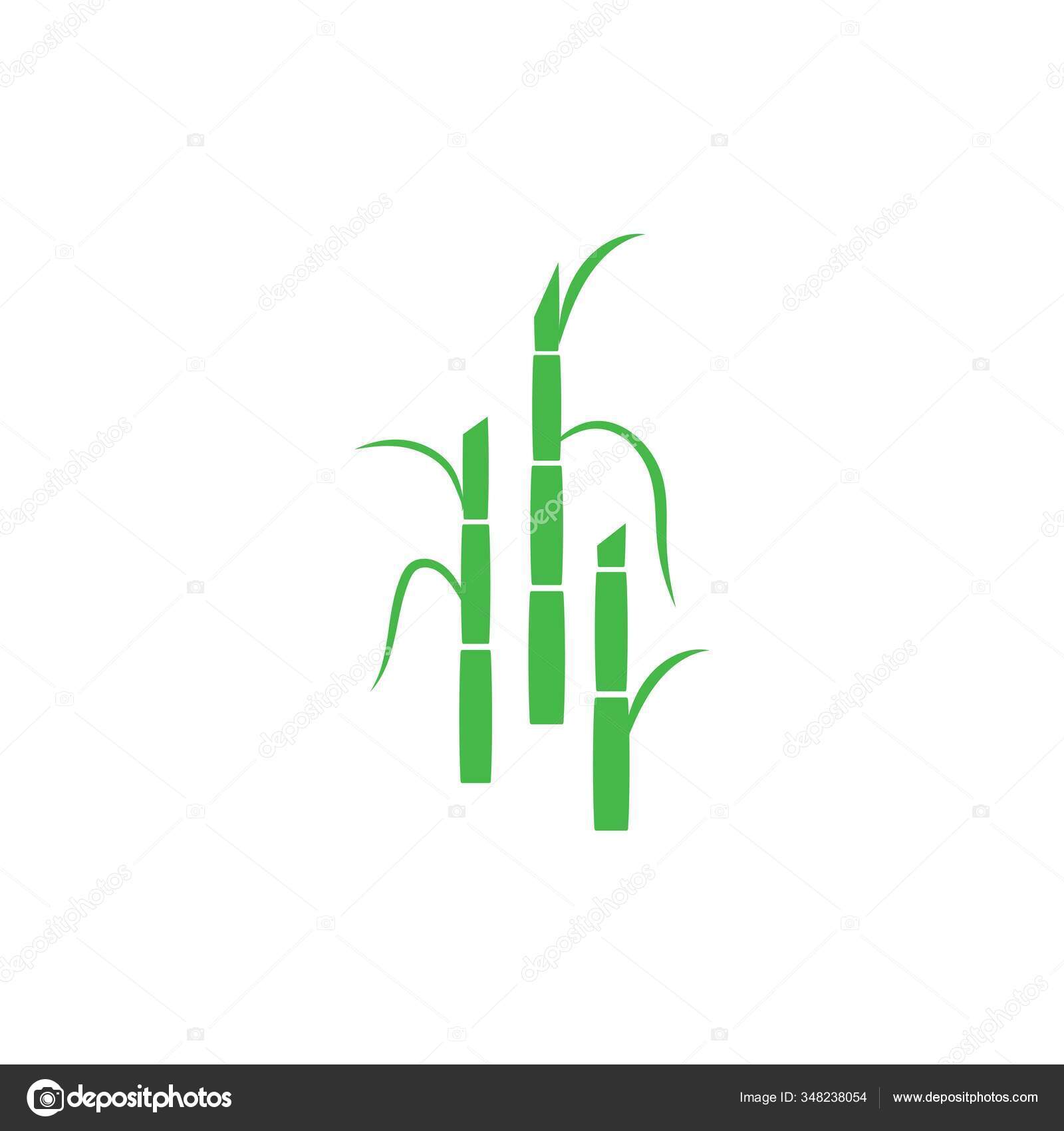 Sugar Cane Icon Vector Illustration Design Logo Template Stock Vector ...