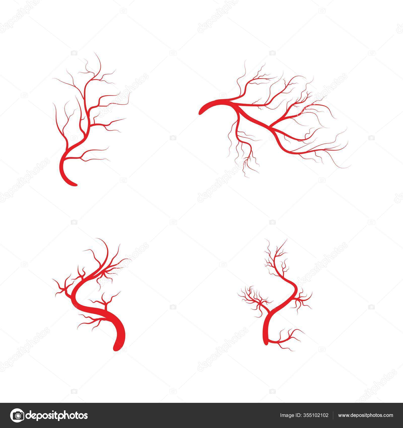 Set Venas Icono Vector Diseño Ilustración Logo Plantilla Vector de ...