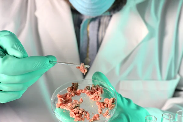 Laboratory Worker Testing Meat - Stock Image - Everypixel