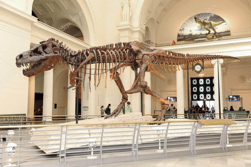 Tyrannosaurus Rex Sue at Field Museum in Chicago – Stock Editorial ...