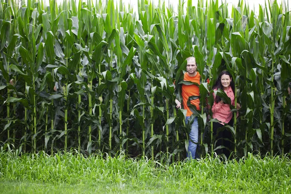 Pessoas da colheita Stock Photos, Royalty Free Pessoas da colheita Images | Depositphotos