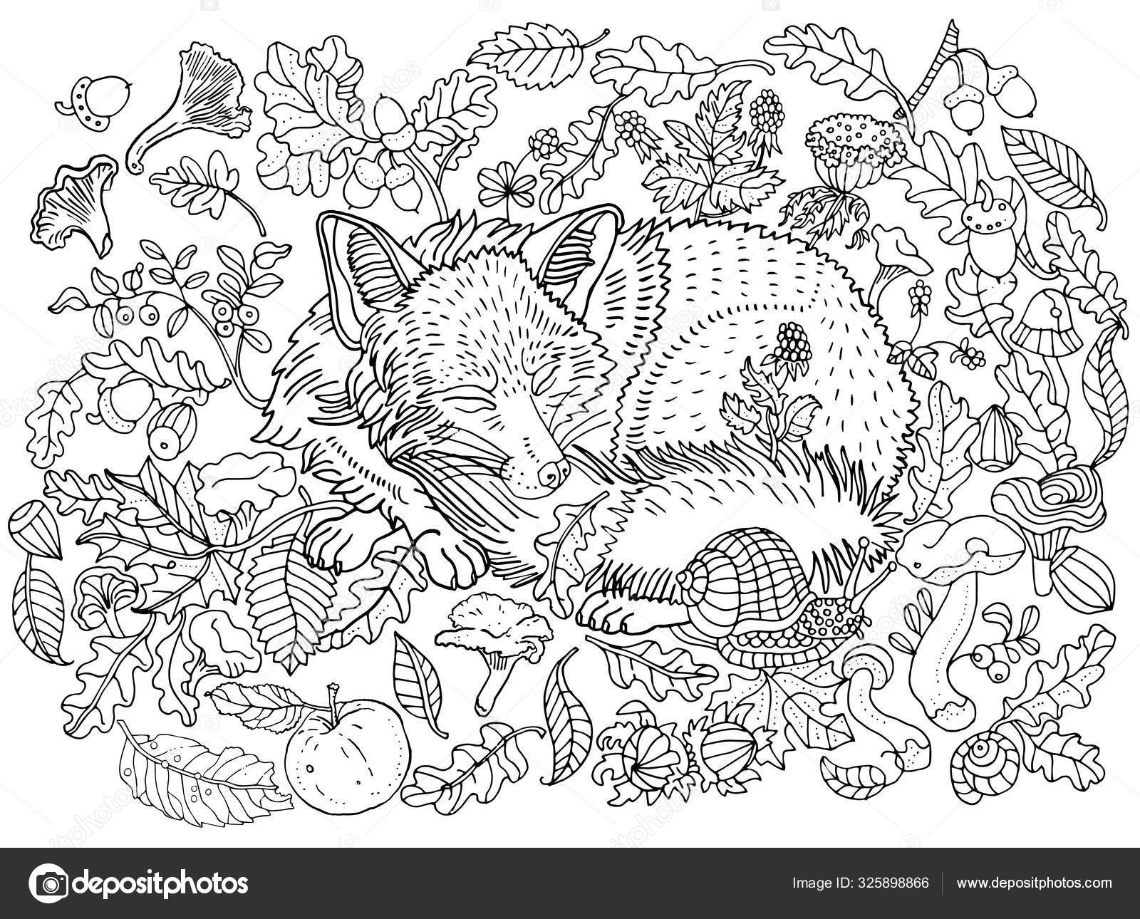 Nuts Coloring Book Pages