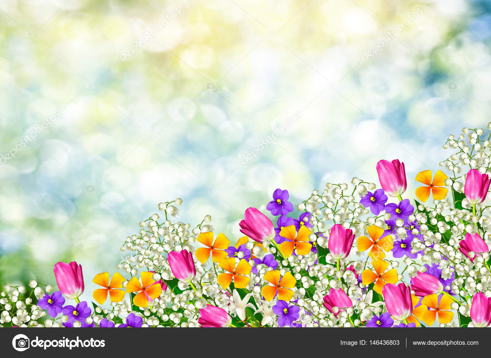 Spring Flower Photography