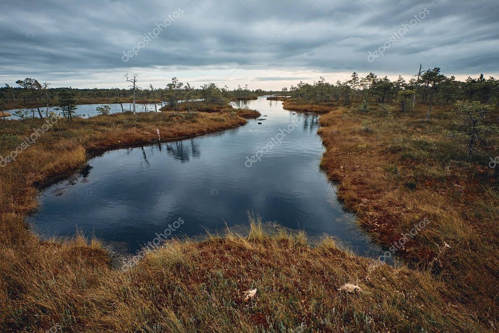 El paisaje alrededor del Gran Sendero del Pantano del Parque Nacional ...