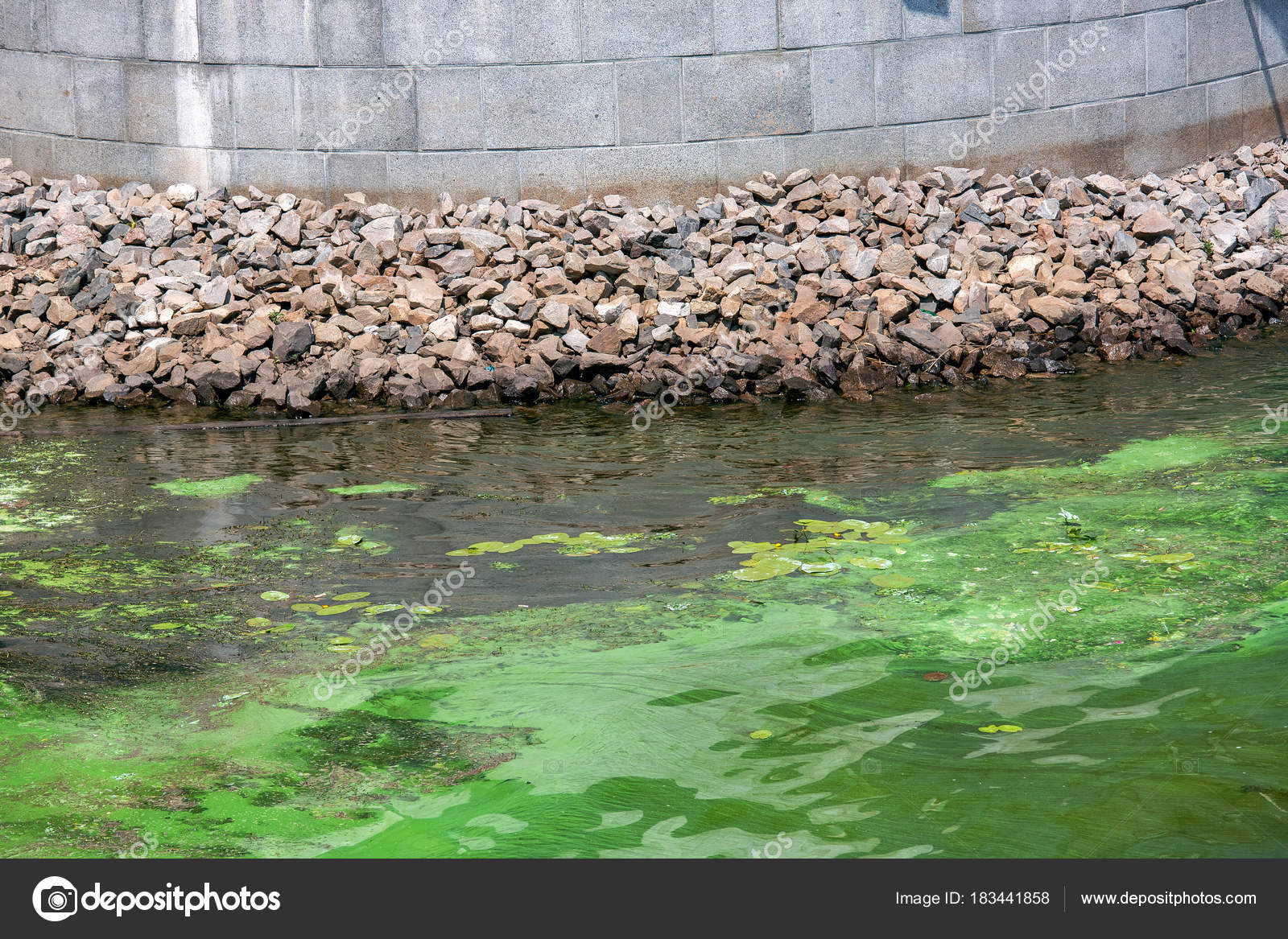 River Polluted Green Algae River Bank Strewn Stones Strengthening Stock ...