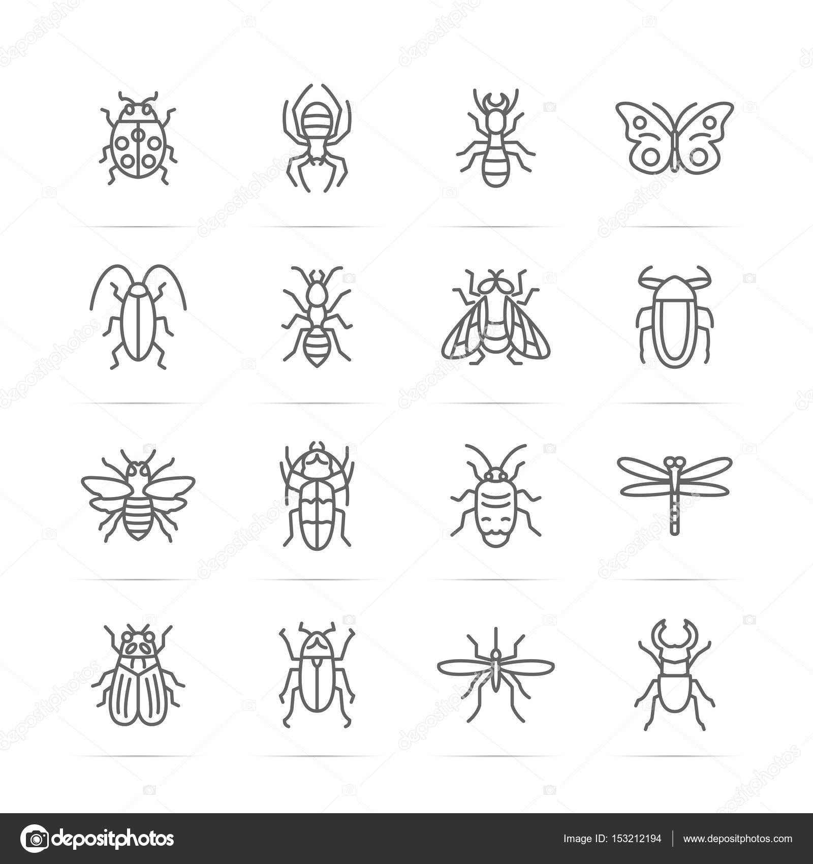 Insecto vector línea iconos Vector de stock por ©tulpahn 153212194