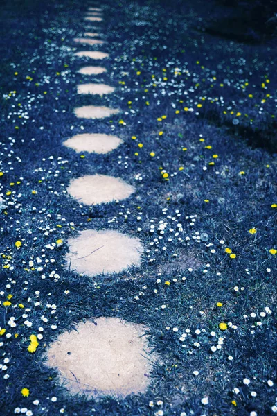 Stone walkway. Garden path walkway on grass turf toned in blue color ...