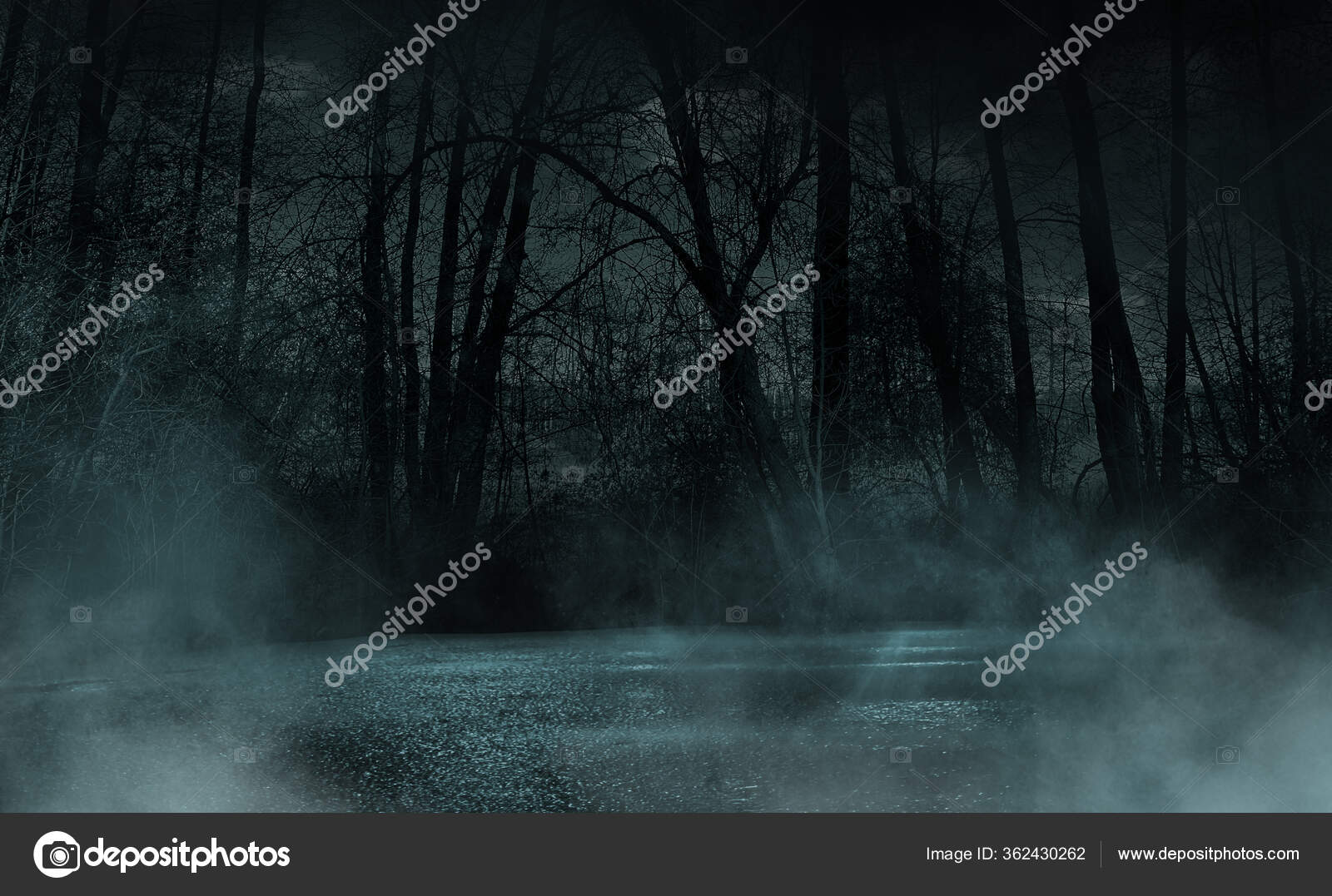 Forest Night Scene