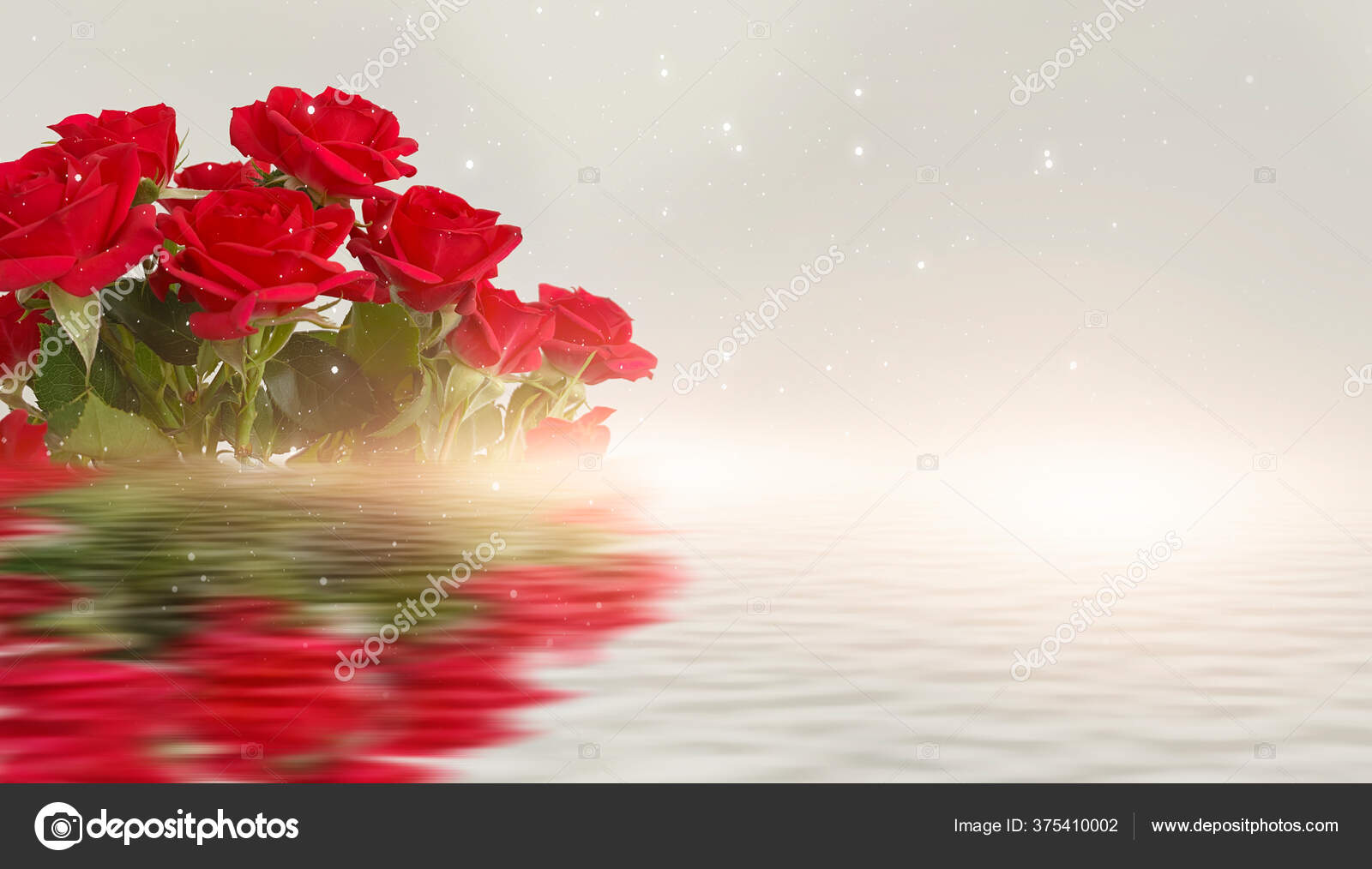Flowers Water Reflection Flowers Water Spring Bouquet Flowers Close ...