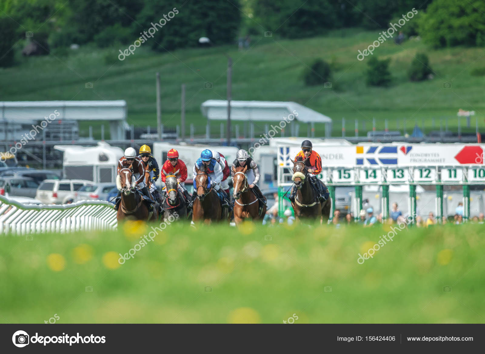 Horses with jockeys out of a curve in fast pace at Nationaldagsg ...