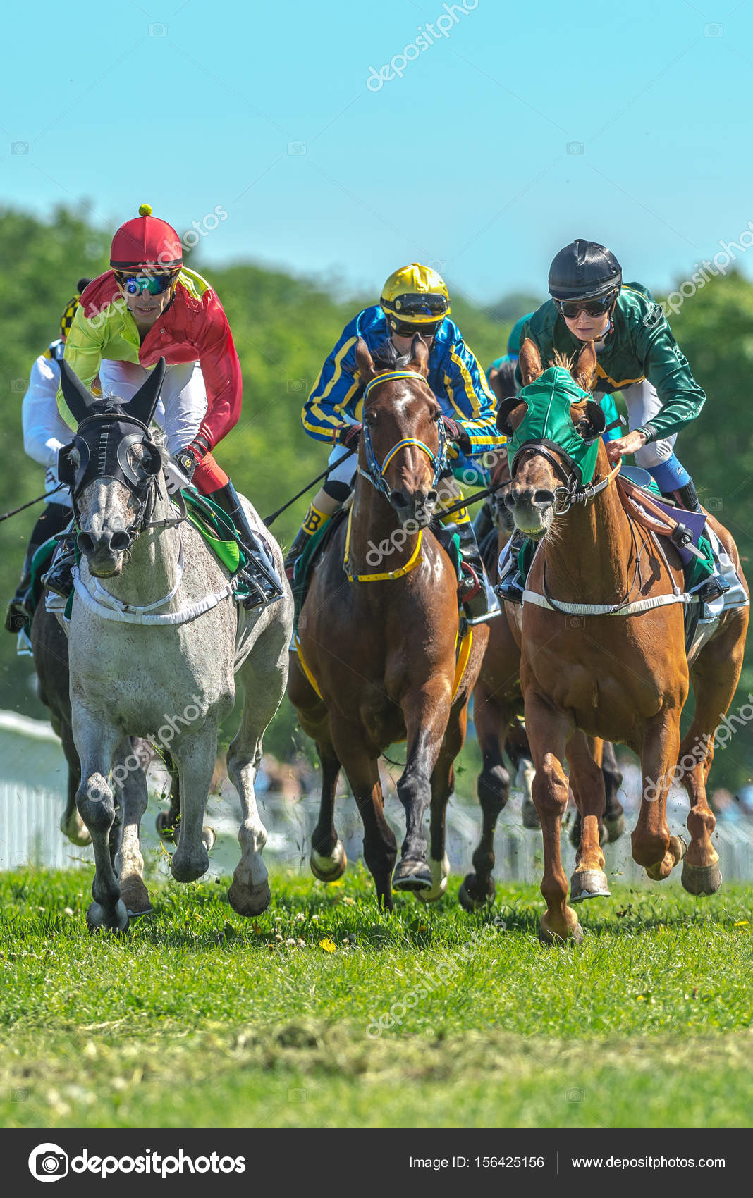 Horses with jockeys out of a curve in fast pace at Nationaldagsg ...