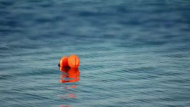 Red Buoy Marker Sea Surface — Stock Video © zefart #171757276