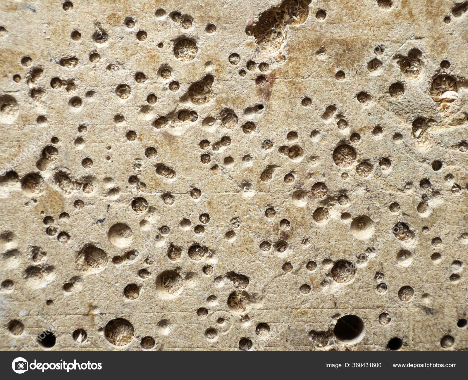 Surface Old Workbench Traces Drilling Background ⬇ Stock Photo, Image ...