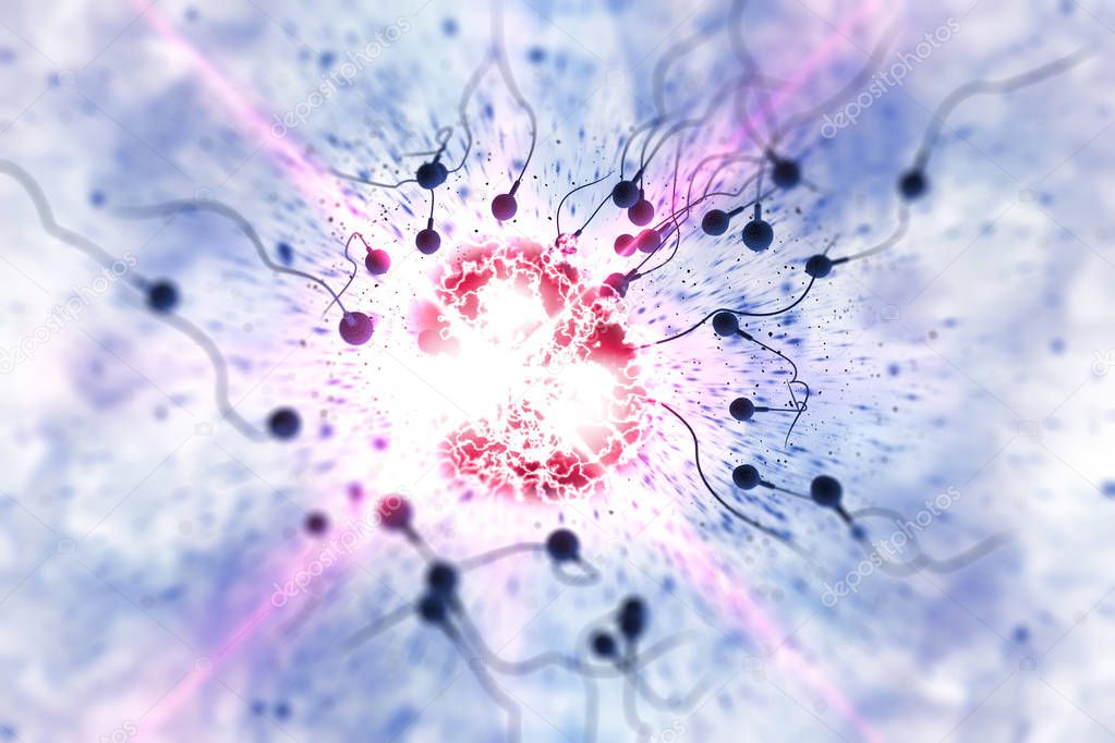 Natación carrera de esperma para impregnar un óvulo humano fértil ...