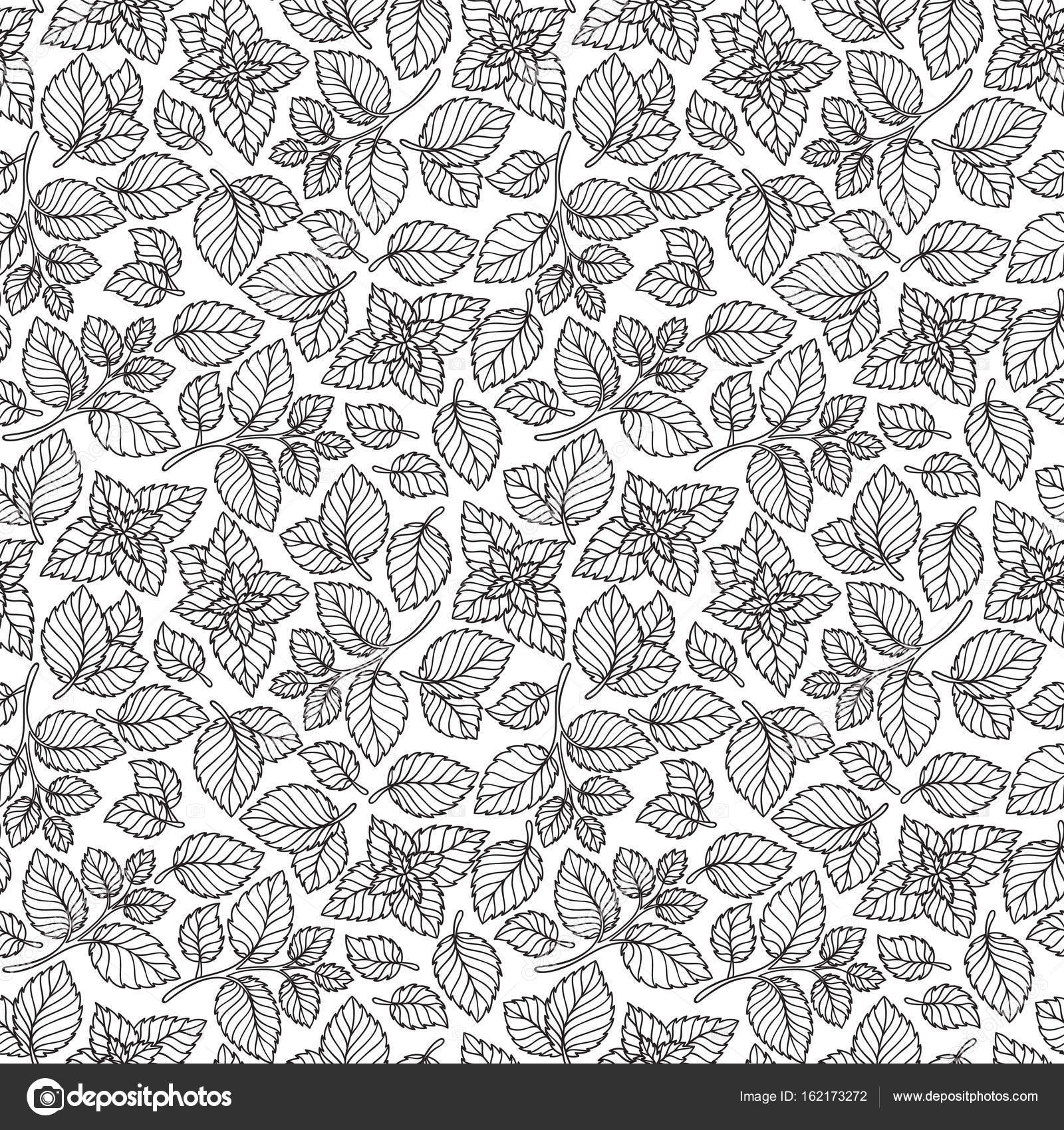 Vector seamless pattern of mint leaves . Stock Illustration by ...