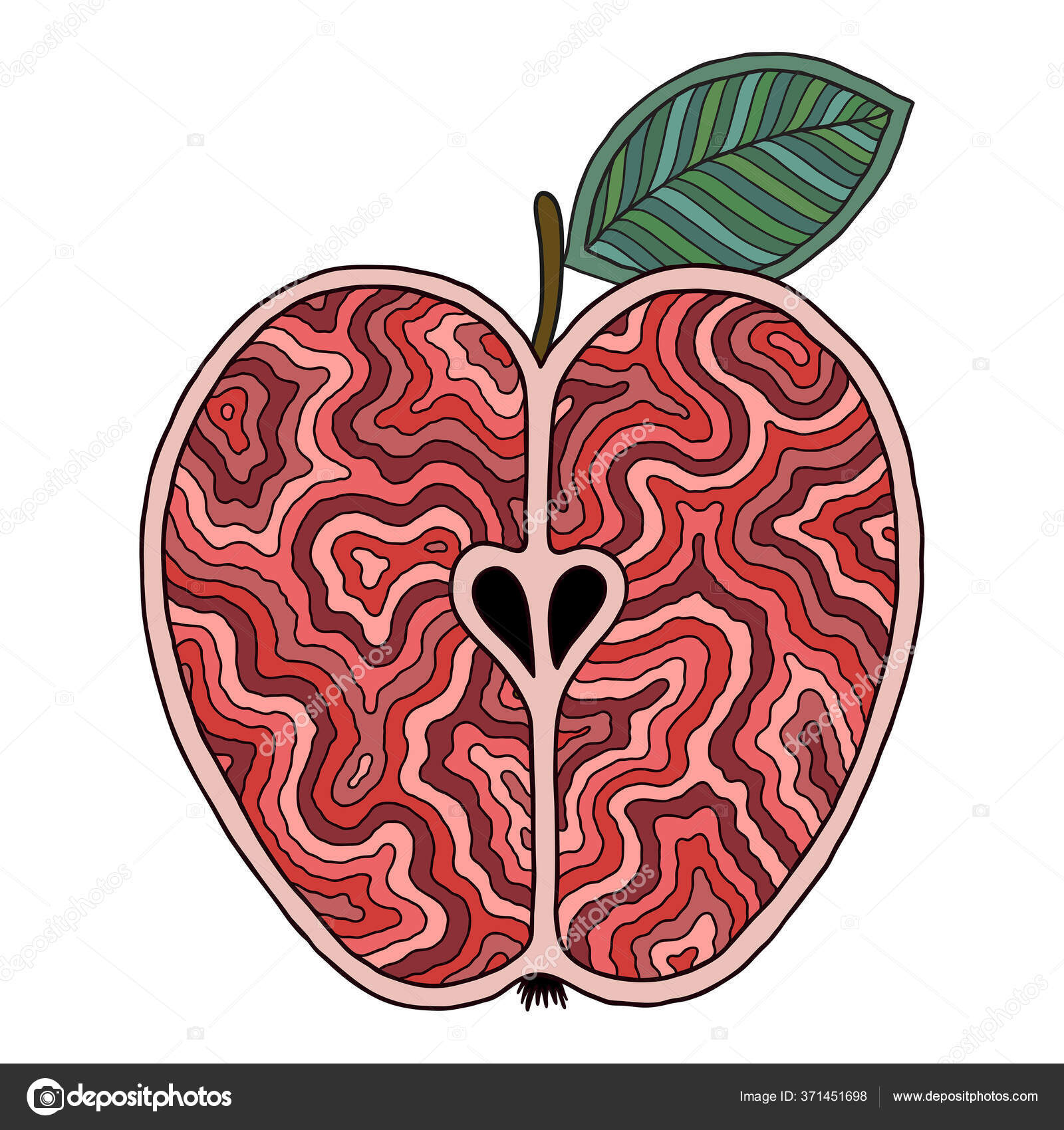 Apple Doodle Detailed Illustration Isolated Greeting Cards Printing ...