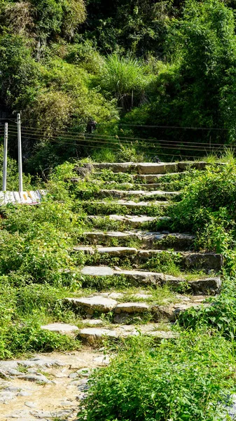 Steps path Images - Search Images on Everypixel