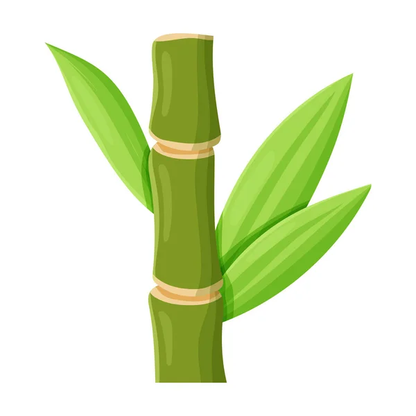 Stem of sugar cane vector icon.Cartoon vector icon isolated on white ...