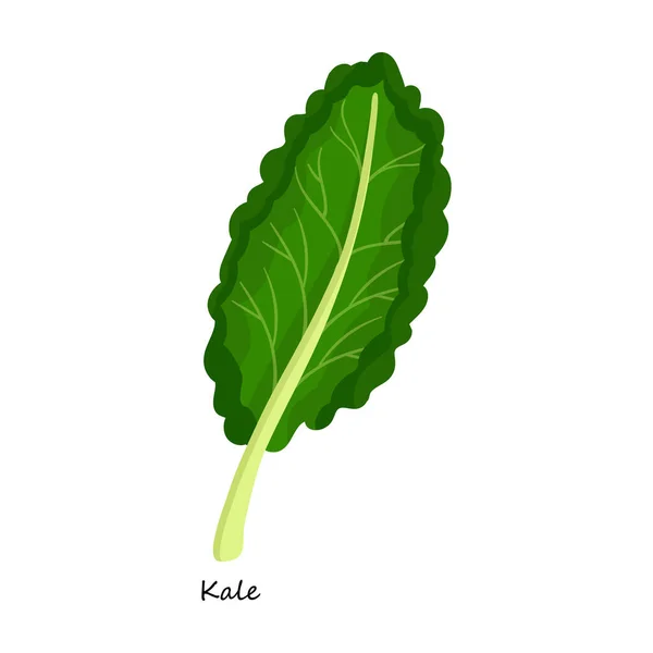 Kale logo Vector Art Stock Images | Depositphotos
