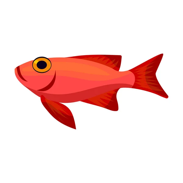 21,465,058 vectores de Pargo rojo, imágenes vectoriales | Depositphotos